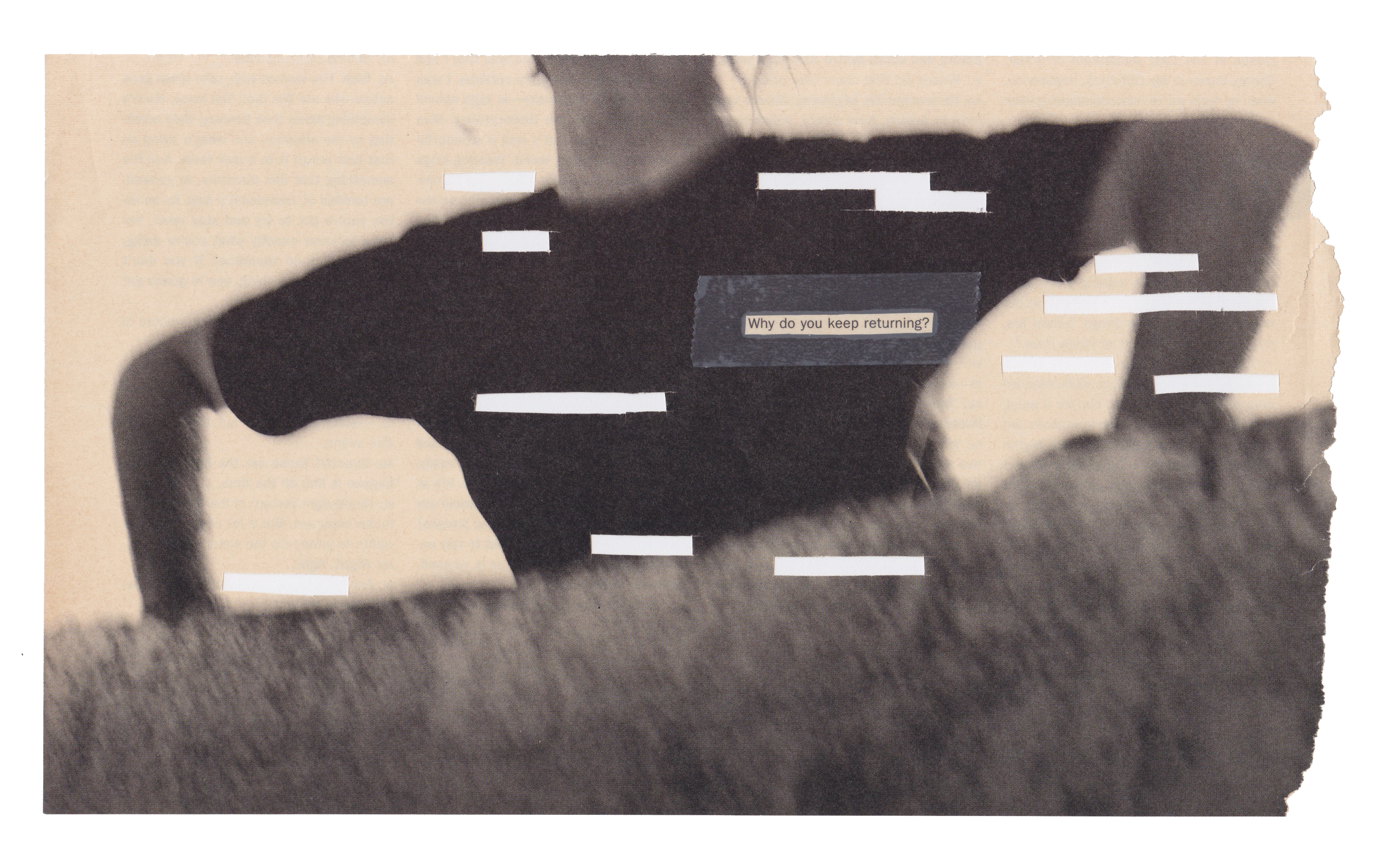 KATE INGOLD / Recent Collage_Interview_2018_2